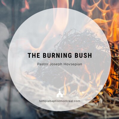 The Burning Bush - Temple Baptist Church